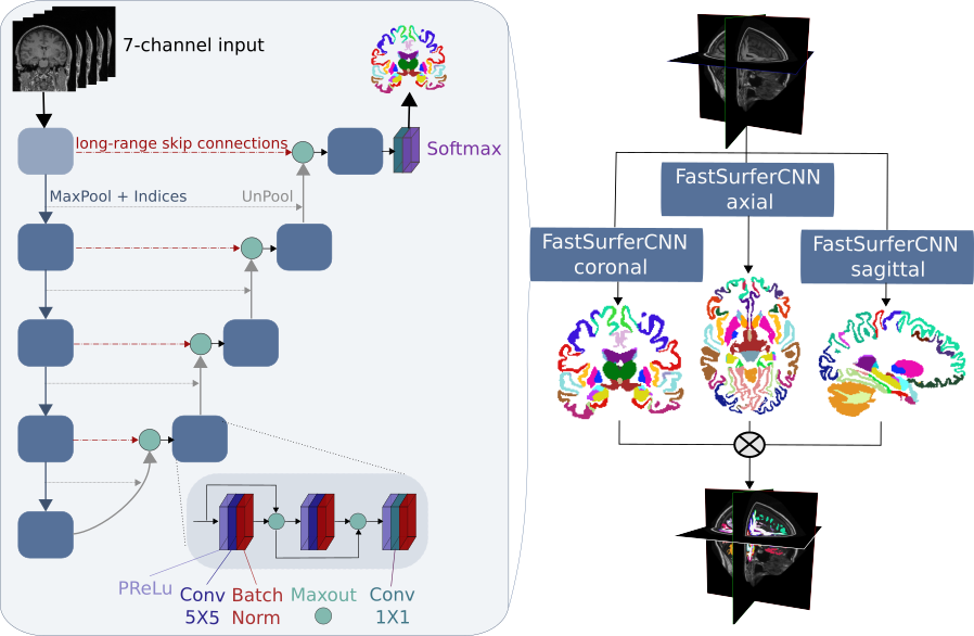 关于最近一些MRI-T1w结构像处理pipeline的测试 | Chenfei Ye