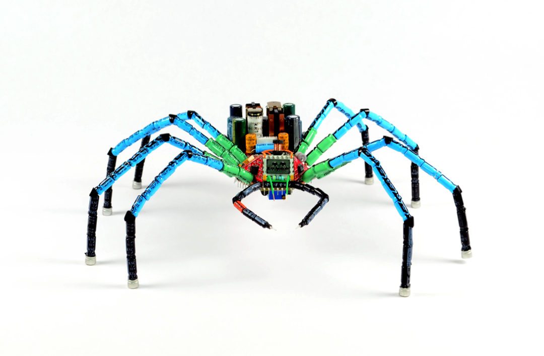 BrainNet实验室服务器使用说明 | Chenfei Ye