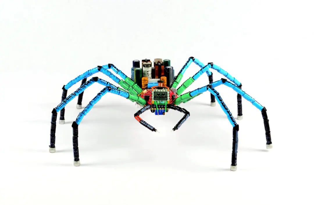 BrainNet实验室服务器使用说明 | Chenfei Ye