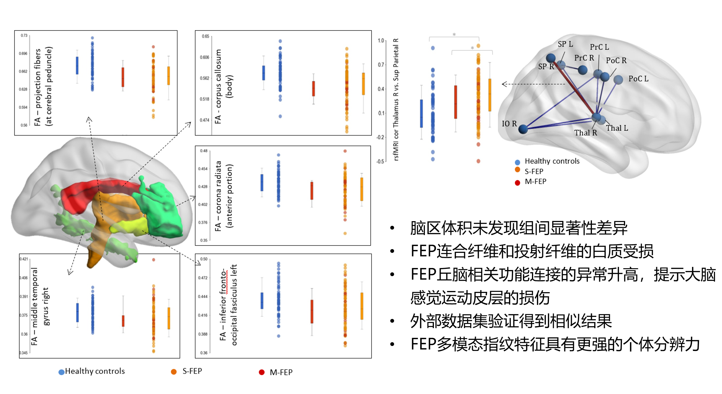 Relationship between neuropsychological behavior and brain white matter in first-episode ...