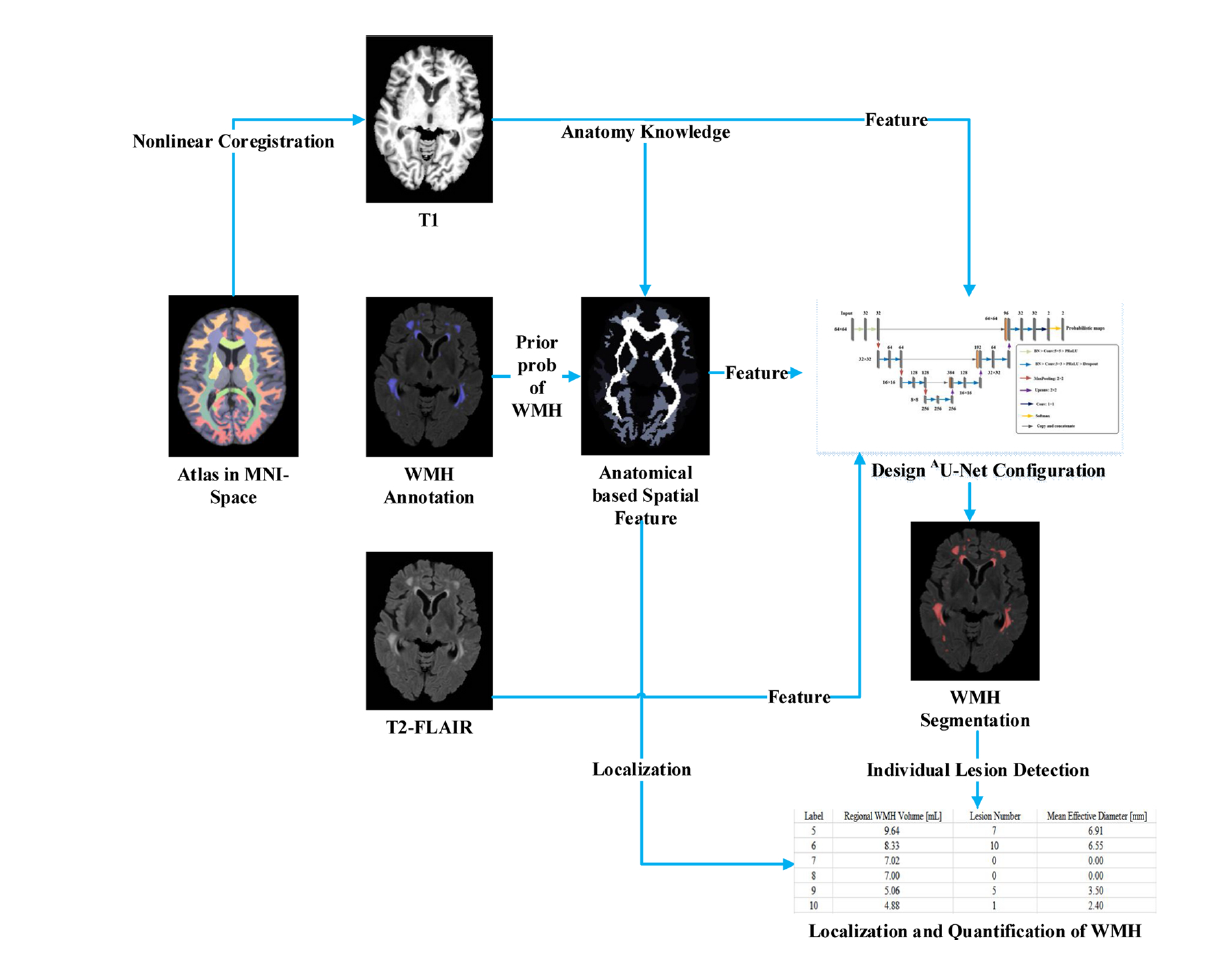 An anatomical knowledge-based MRI deep learning pipeline for white matter hyperintensity ...