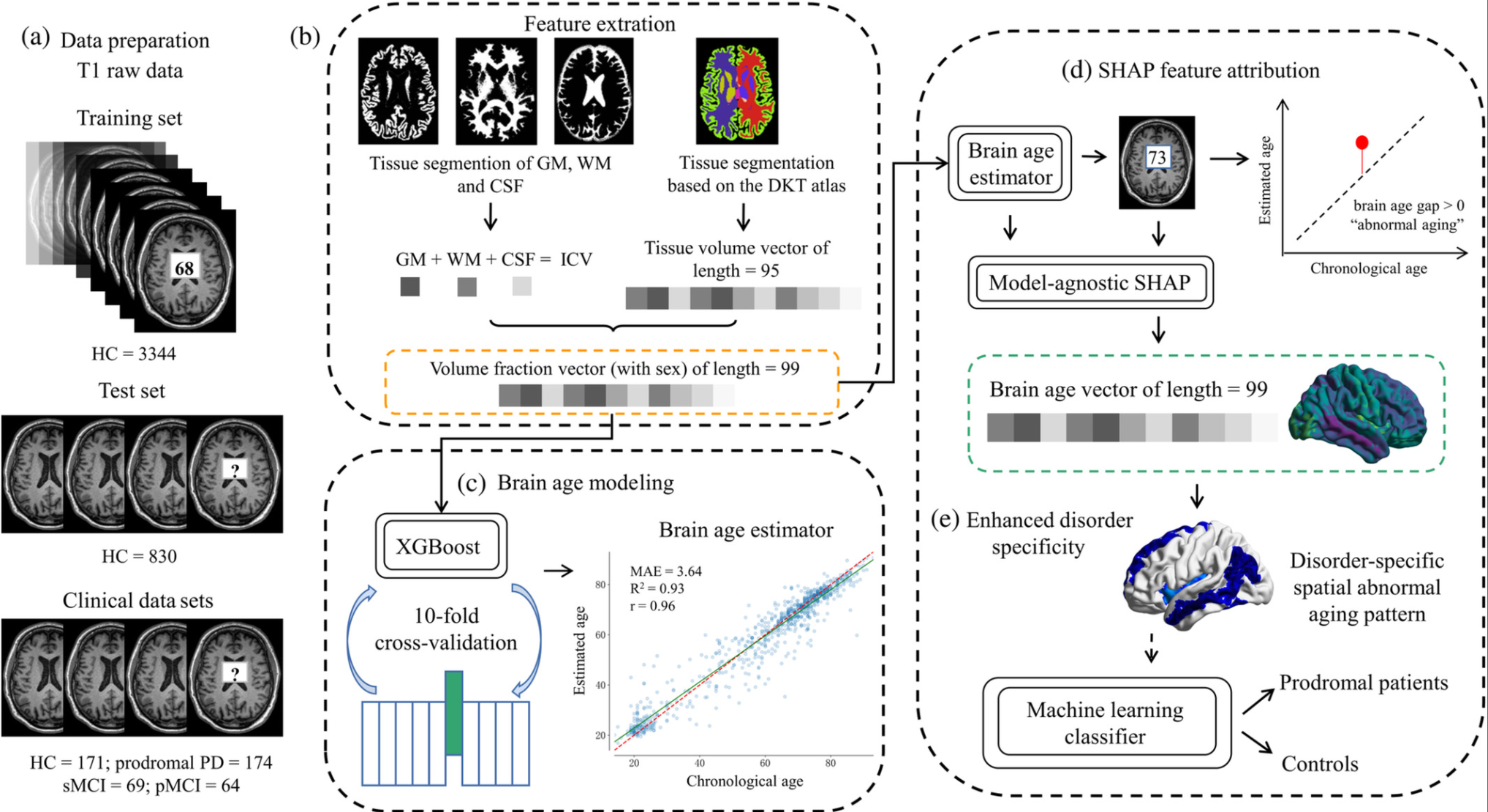 Brain age vector: A measure of brain aging with enhanced ...