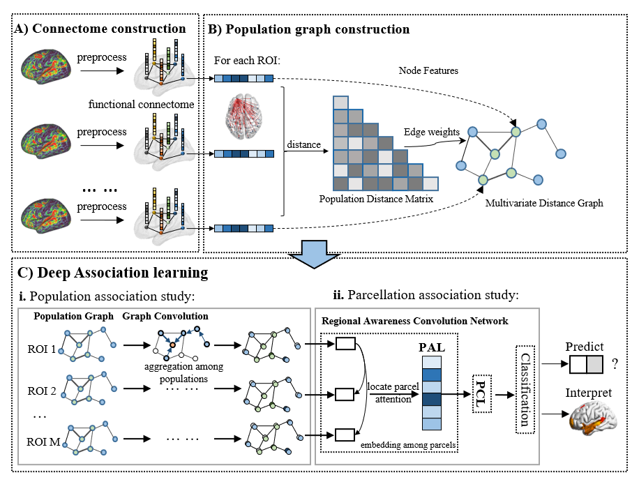 A deep connectome learning network using graph convolution for ...